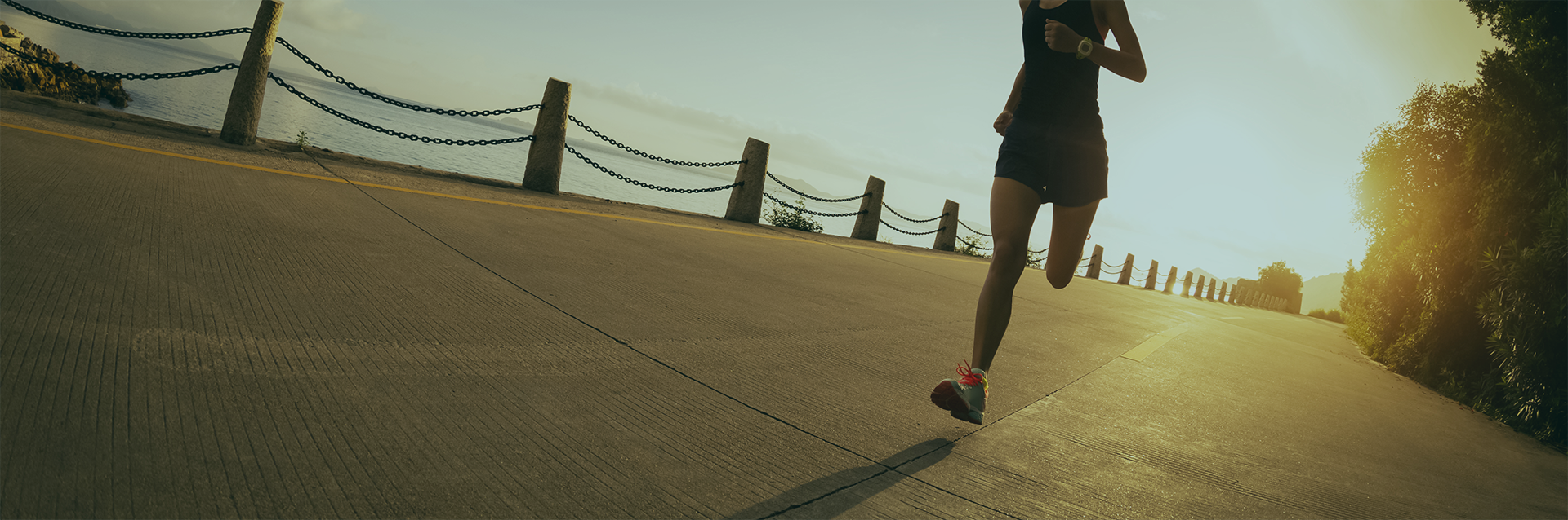 Orthopaedic Research and Education Foundation (OREF) | OREF